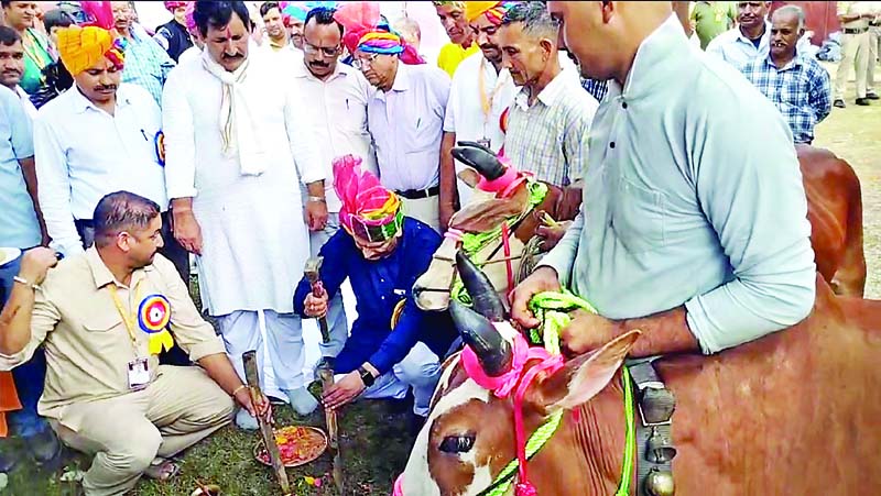 खूंटी गाडऩे के साथ ख्योड़ मेले का आगाज | Khyoad fair begins with ...