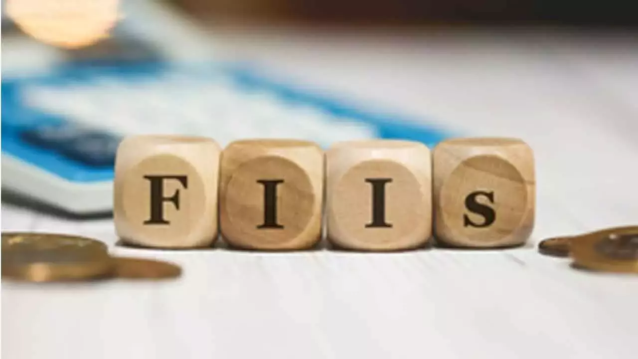 दिसंबर में DII की खरीदारी ने FII की बिकवाली को ऑफसेट कर दिया | DIIs ...